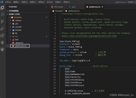 使用vscodeplatformiocmsis开发stm32f407zgt6stm32f407 Platformio Csdn博客