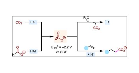 Recent Advances In Reactions Involving Carbon Dioxide Radical Anion