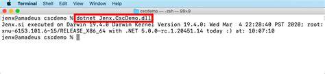 Using Roslyn C Compiler In Net Jenx Si