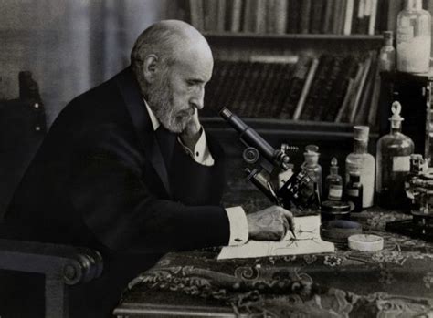 Los dibujos de Ramón y Cajal vuelan a América Revista de Arte Logopress