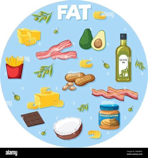 Variety Of Fat Foods Illustration Stock Vector Image And Art Alamy