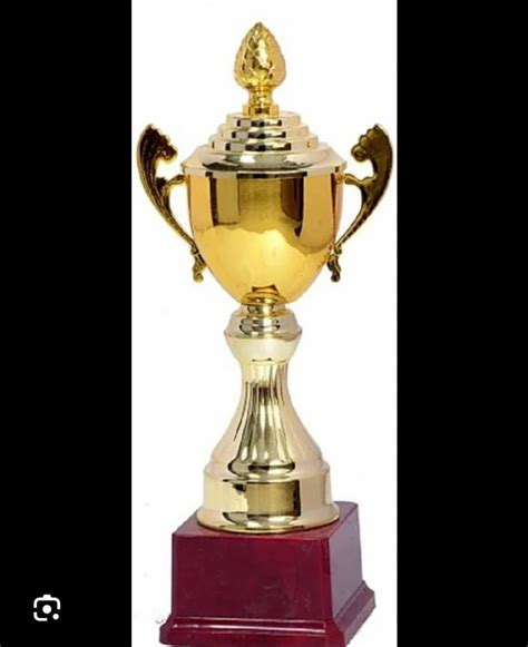 Acrylic Throphy At Best Price In Ahmedabad By Shankhesh Stationers Id