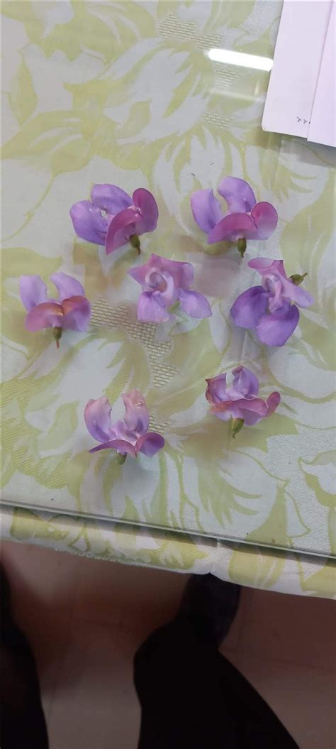 Vigna Caracalla Introduced Eflora Of India