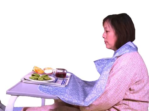 Waterproof Adult Mealtime Bib Clothes Clothing Protector Dining Cook