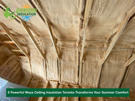 5 Powerful Ways Ceiling Toronto Insulation Transforms Your Summer