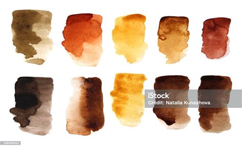 흰색 배경에 고립 된 팔레트에 페인트의 수채화 갈색 스트로크 예술 창조적 개체 갈색에 대한 스톡 벡터 아트 및 기타 이미지 갈색 거친 구아슈 Istock