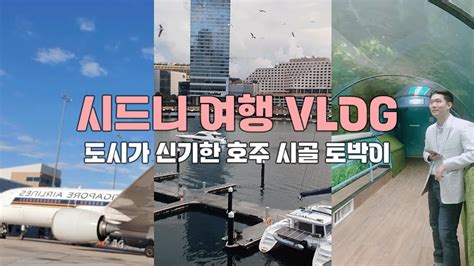 Vlog Youtube