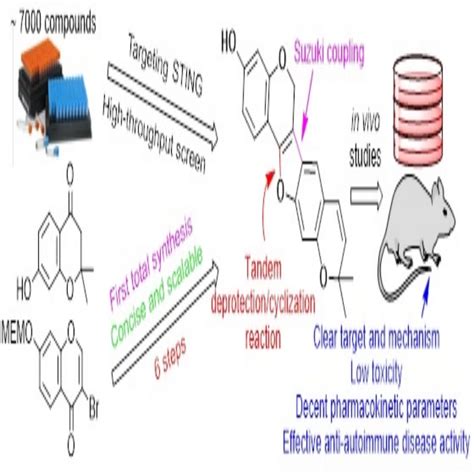 北京大学新闻网