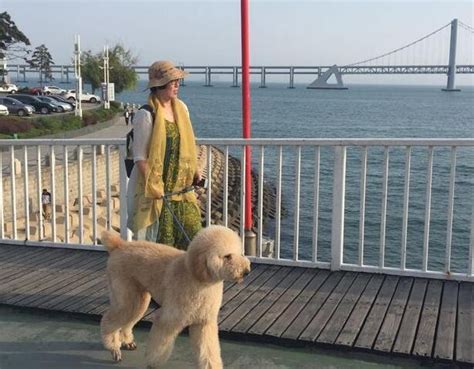 帶我家狗狗一起出去遊玩，當它看到遊樂場之後就徹底的瘋了！ 每日頭條