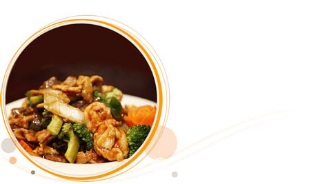 Yung Ting Chinese Restaurant Chinese Food Lewisburg Pa 17837 Menu