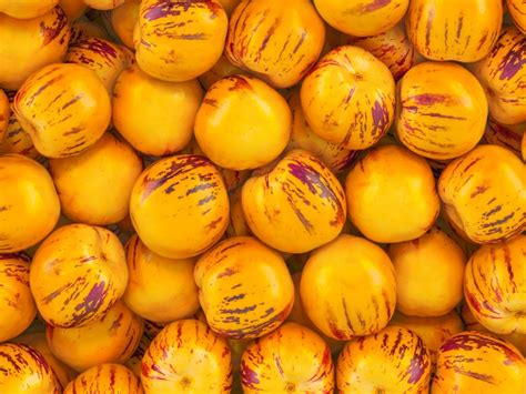 Pepino Fruit