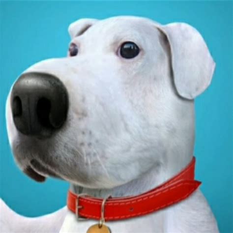 The Phangler Youtube