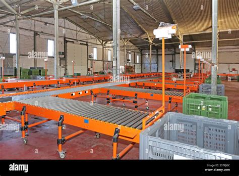 Parcel Sorting System In Distribution Warehouse Hub Hi Res Stock