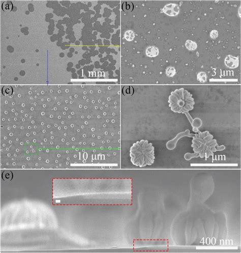 Selected Characteristic Nanostructures Present In The Ausio2‐25 A