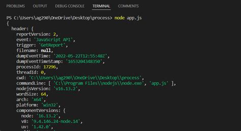 Objet Node Js Process Report Stacklima
