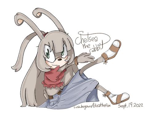 Chelsea The Rabbit Sonic Oc Ibispaint Sonic The Hedgehog Amino