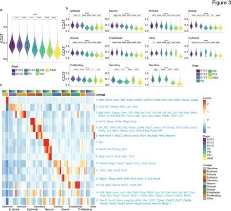 Analysis Of Regulatory Programs In MCDA Download Scientific Diagram