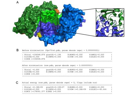 Refining A Vps75 Tetramer Based On Peldor Derived Distance Restraints Download Scientific