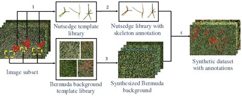 An Overview Of The Image Synthesis Pipeline 1 2 3 And 4 Represents Download Scientific Diagram