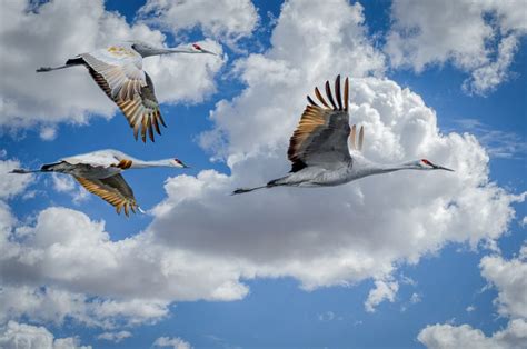 Motivations And Considerations For Migration From Ms Sql Server To Aws