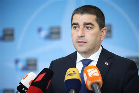 შალვა პაპუაშვილი ნატო საქართველოს კომისიის სხდომაზე საუბარი მქონდა