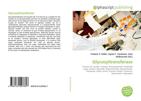 Glycosyltransferase 978 613 0 29765 7 6130297653 9786130297657