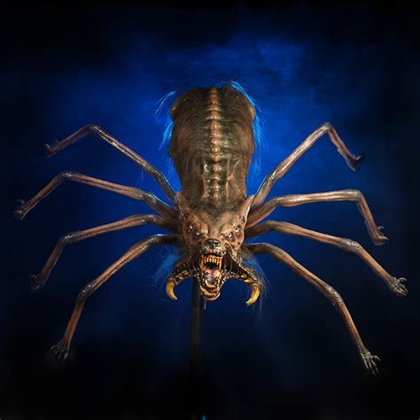 Wolf Spider Halloween Prop Decoration For Sale Online Distortions Unlimited