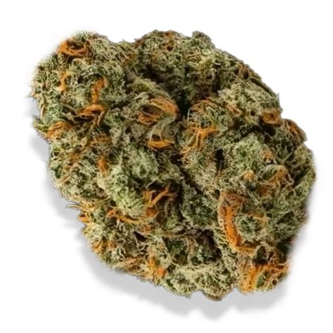 Chocolope Smoke And Toke Delivery