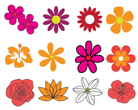 Premium Vector Set Of Flowers Vector Design