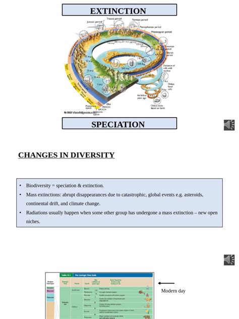 Lecture 5 Macroevolution And Extinction Narrated Pdf Extinction Species