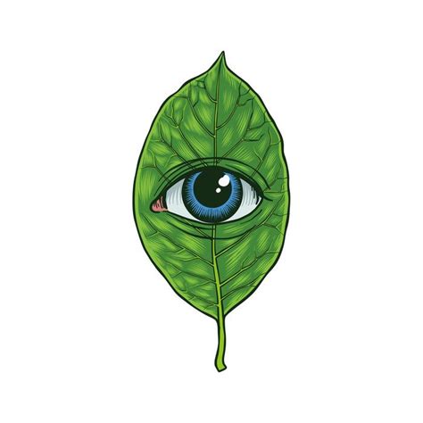 Weed Eye Vector Art Icons And Graphics For Free Download