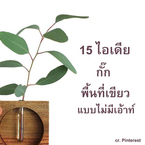 🌿15 เป็น อยู่ ดี ไอเดียจัดบ้านและตกแต่งบ้านอย่างมือโปร