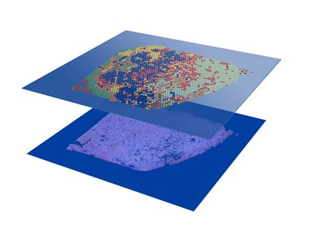 Spatial Omics Centre De Recherche Des Cordeliers
