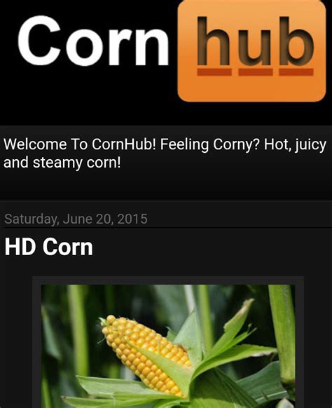 45 Hilarious Kernel Puns Punstoppable 🛑