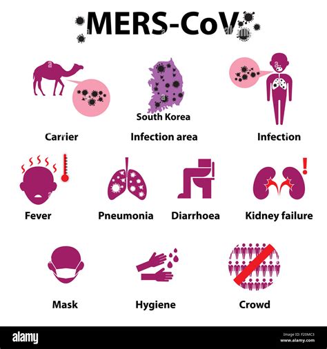 MERS COV o Síndrome Respiratorio Oriente Medio Corona Virus Infografía