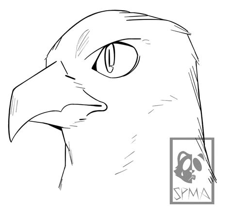 I Drew A Birb Scrolller