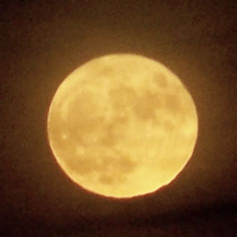 Presort Plays Youtube