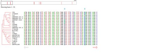Awesome Genome Visualization