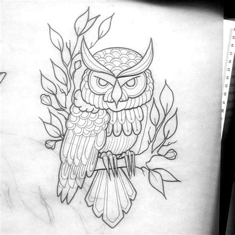 Traditional Owl Drawing
