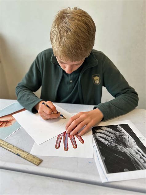 Cedar Classical Academy Classical Christian School Lansing Mi