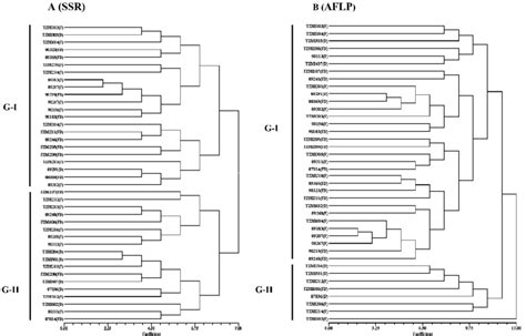 Dendrogram Of 40 Mid Altitude Inbred Lines Obtained Using Ssr A And Download Scientific