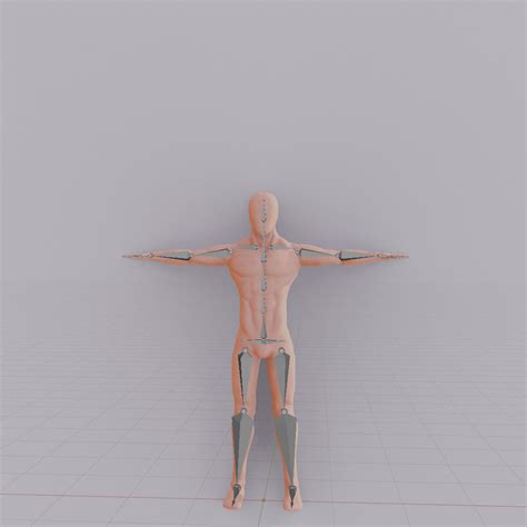 Human Male Base Mesh Free Vr Ar Low Poly 3d Model Animated Rigged