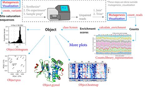 Installation Guide — Mutagenesis Visualization Documentation