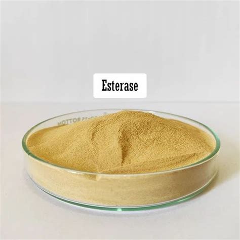 Esterase Powder For Used In Food Industry Packaging Size 25kg At