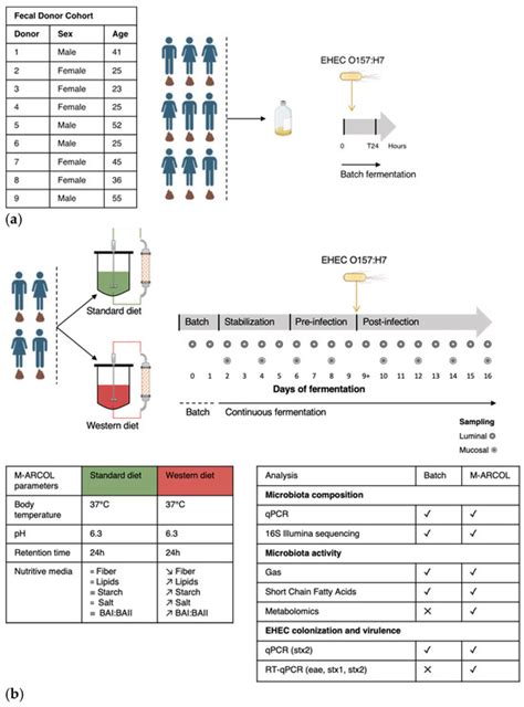 Nutrients Special Issue The Relationship Between Diet Gut Microbes And Human Health