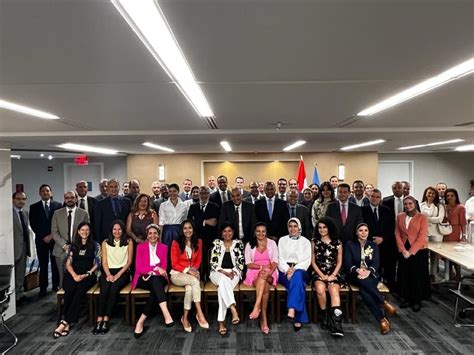 Nihal Saad On Linkedin Egyptian Newyork Egypt Un Egypt