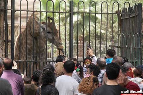 أول سؤال برلماني بخصوص تطوير حديقة الحيوان بالجيزة المصري اليوم