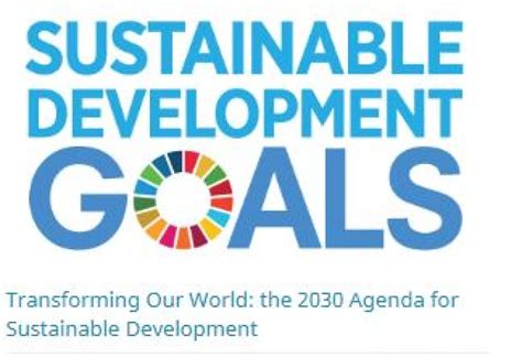 Migration In Un Sdgs A Milestone Iom Office To The United Nations