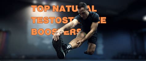 Top Natural Testosterone Boosters Boost Your Vitality Naturally Metamood