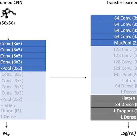 Architecture Of The Pretrained Molecular Weight Predicting Model Left Download Scientific